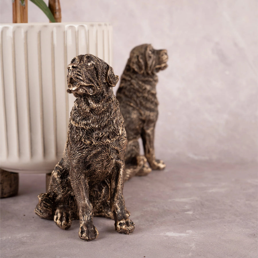 Dog - Pot Feet -Set of 3 (Gold) – AA Living